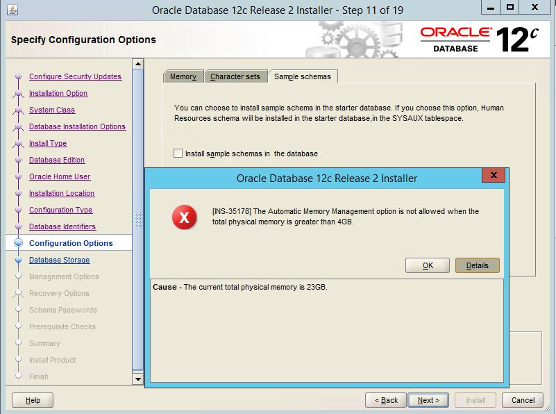 INS 35178 The Automatic Memory Management Option Is Not Allowed When