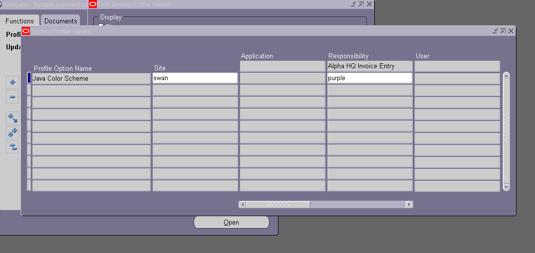 Issue Changing Java Color Scheme On Responsibility Level Oracle Mosc