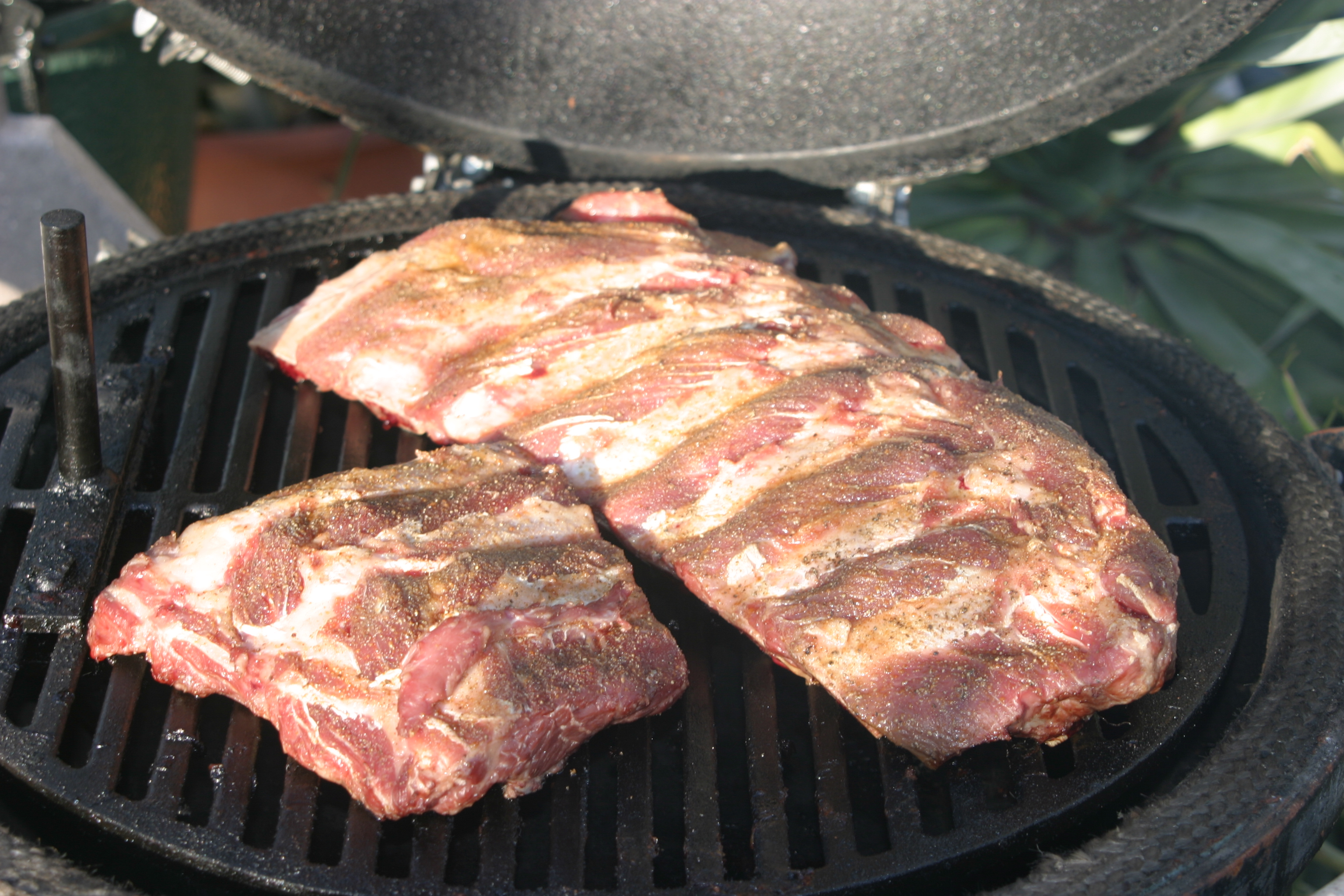 Beef Back Ribs Big Green Egg Forum