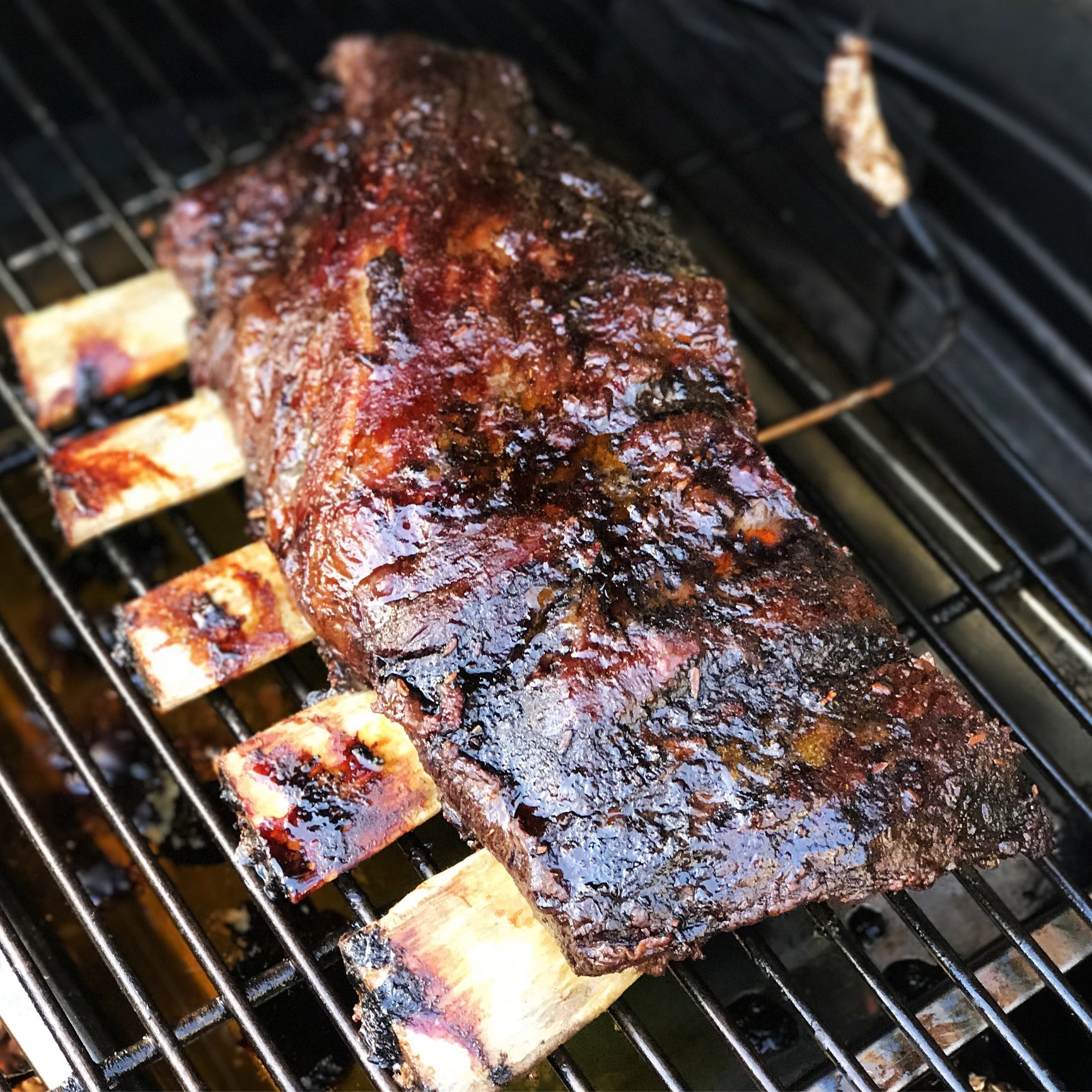 Cooked Some Short Ribs with Pics Big Green Egg EGGhead Forum