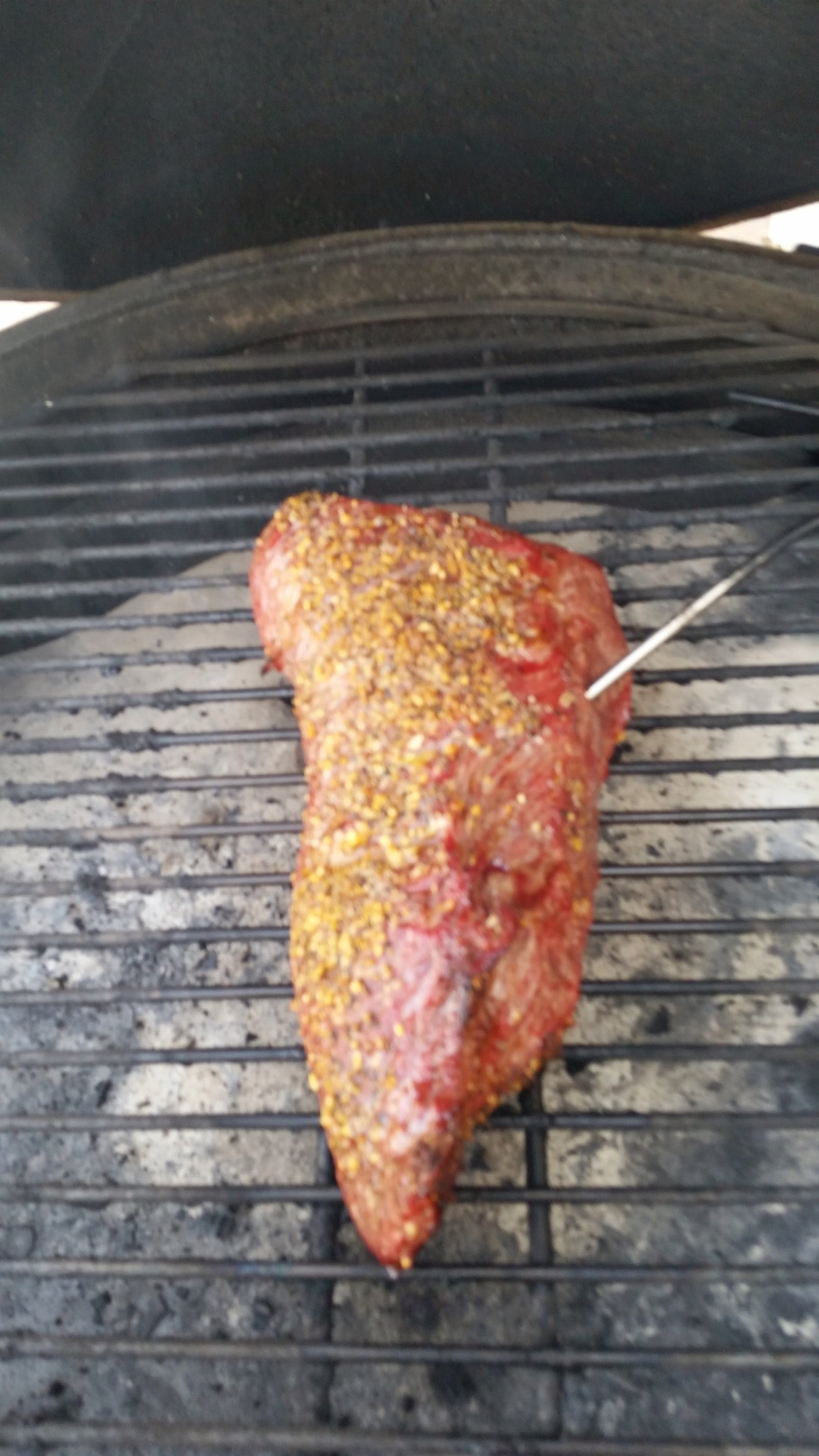 Tri Tip On The Xl — Big Green Egg Forum