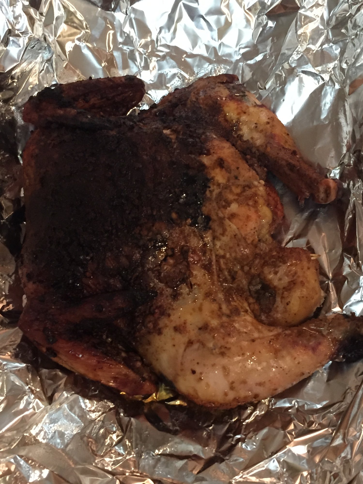 Pre Turkey Day Cook — Big Green Egg Forum