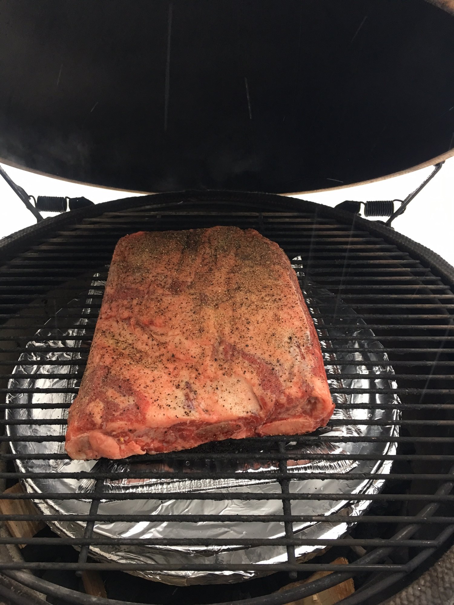Snowy Beef Short Ribs - Brisket on a Stick — Big Green Egg Forum