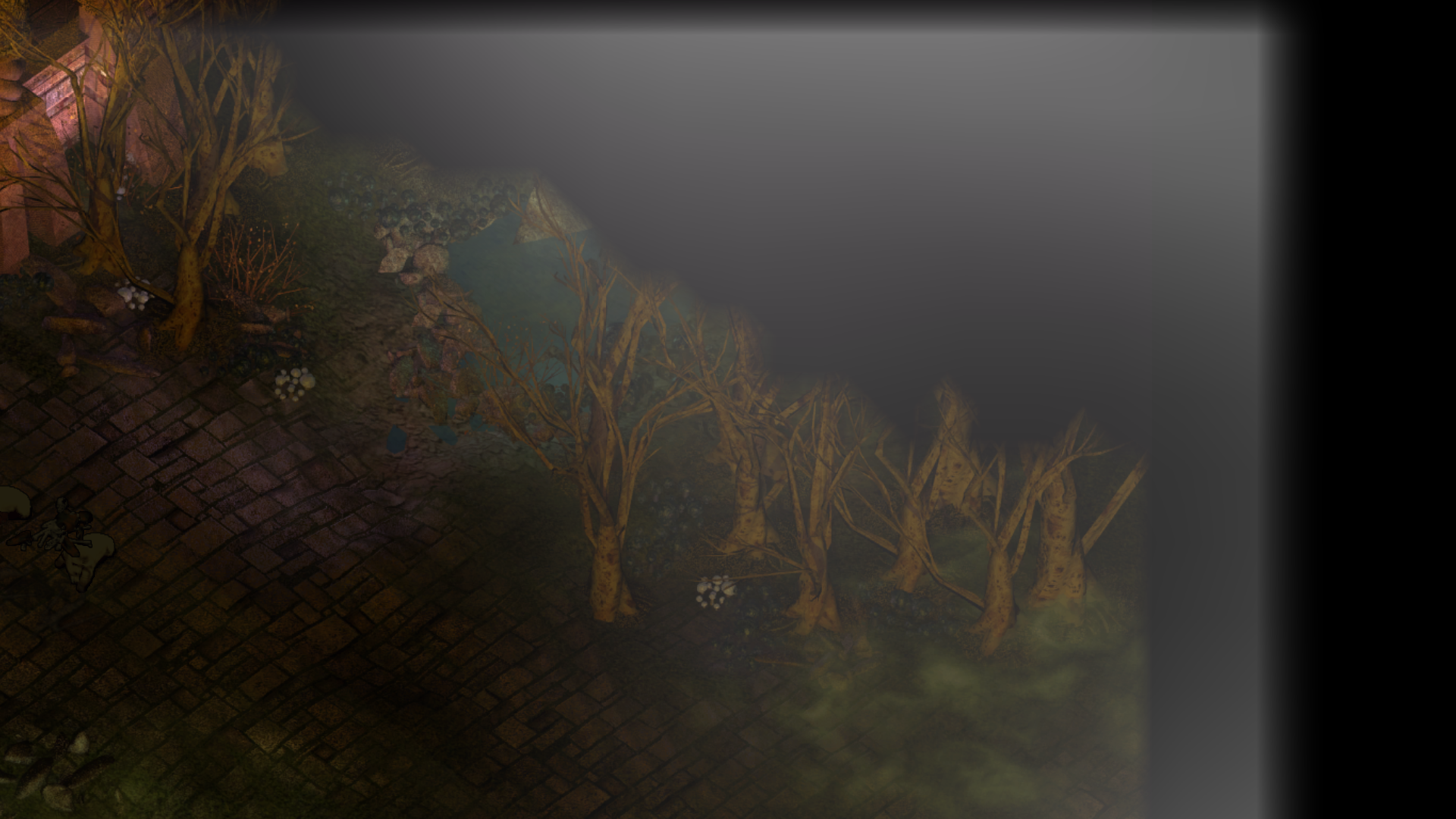 add option to diable the fog effect. — Beamdog Forums