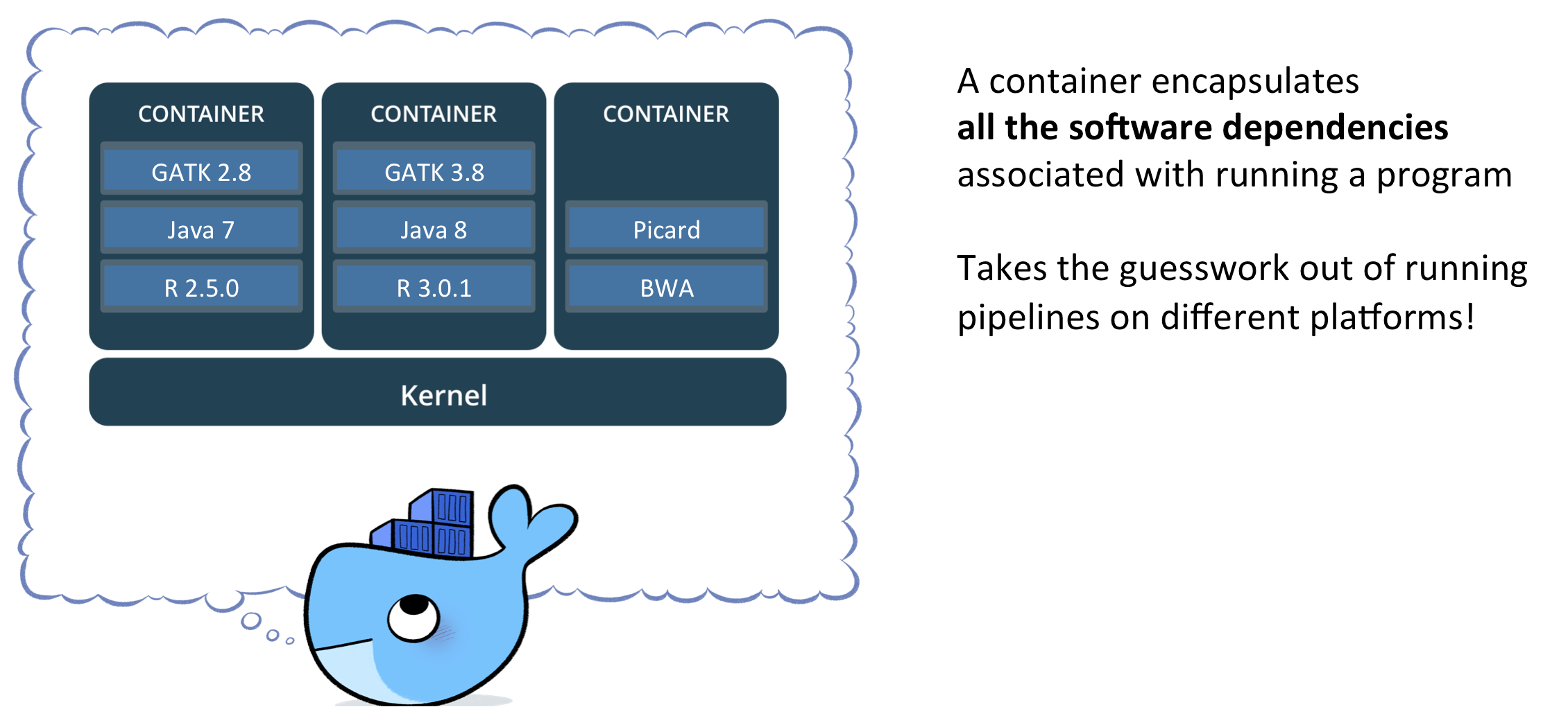 Docker container Overview Terra Support