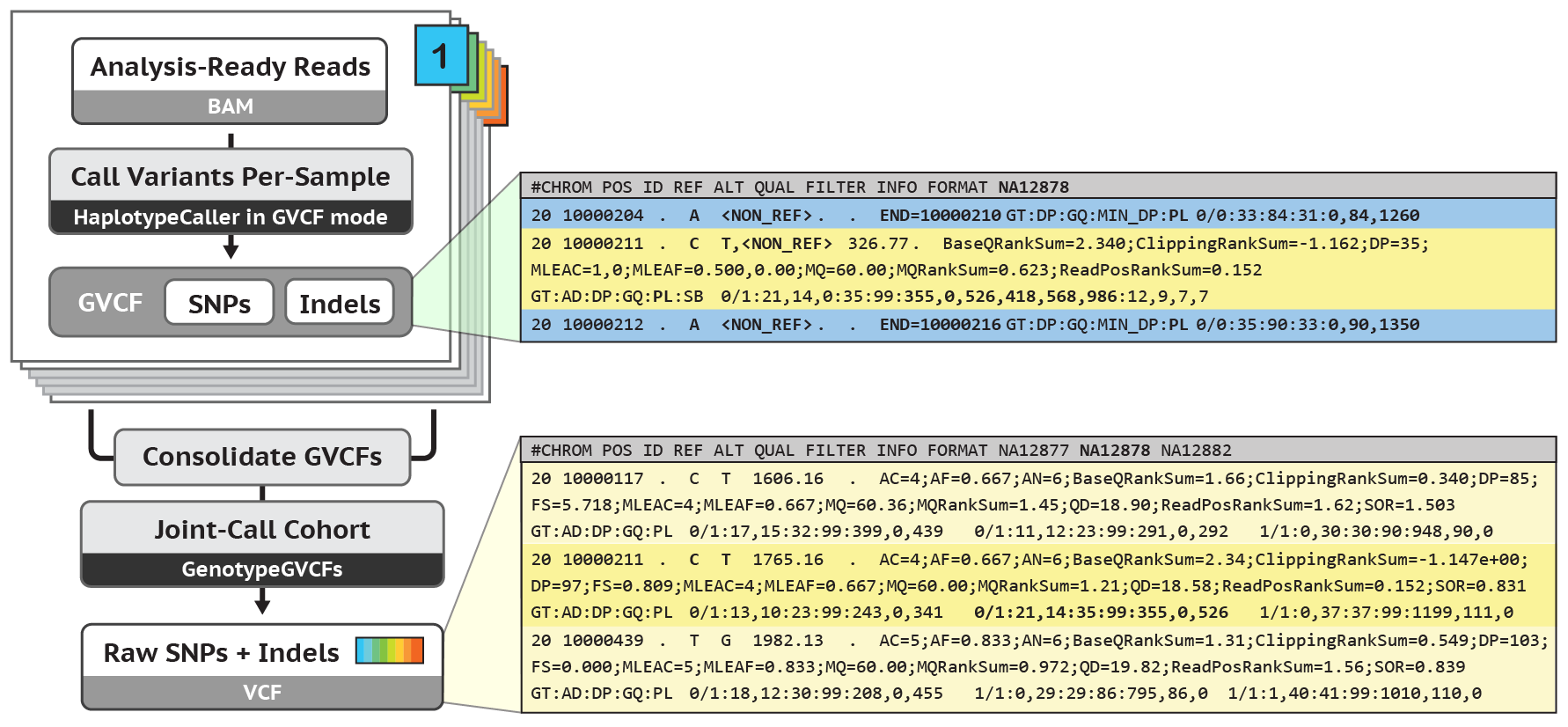 GVCF - Genomic Variant Call Format – GATK