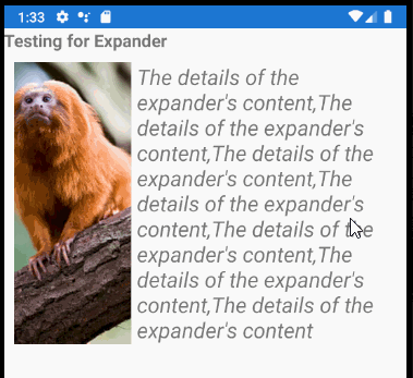 Expander and ForceUpdateSizeCommand - Microsoft Q&A