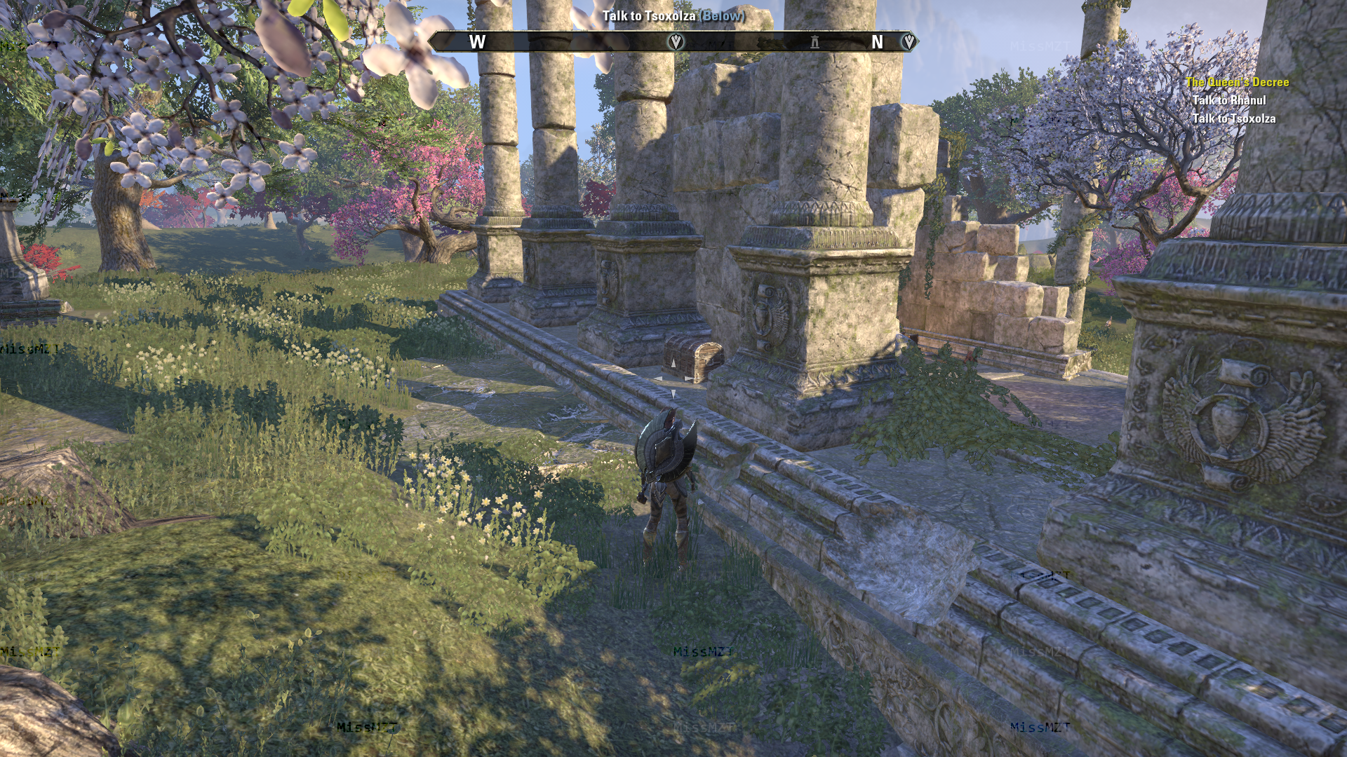 Bugs so far — Elder Scrolls Online