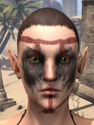 Addition to the Cosmetic Pack Face Markings — Elder Scrolls Online