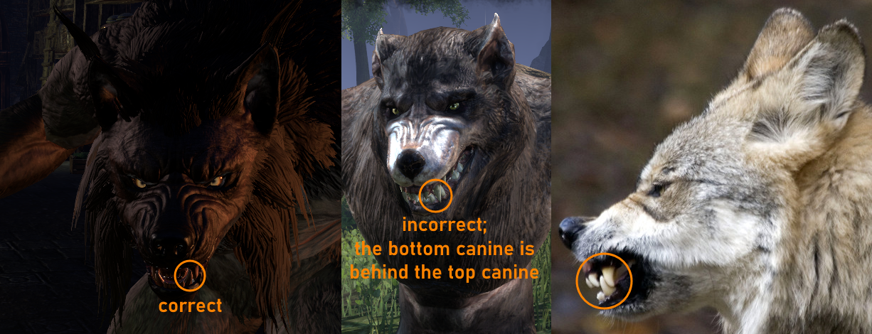 Suggestion for werewolves — Elder Scrolls Online