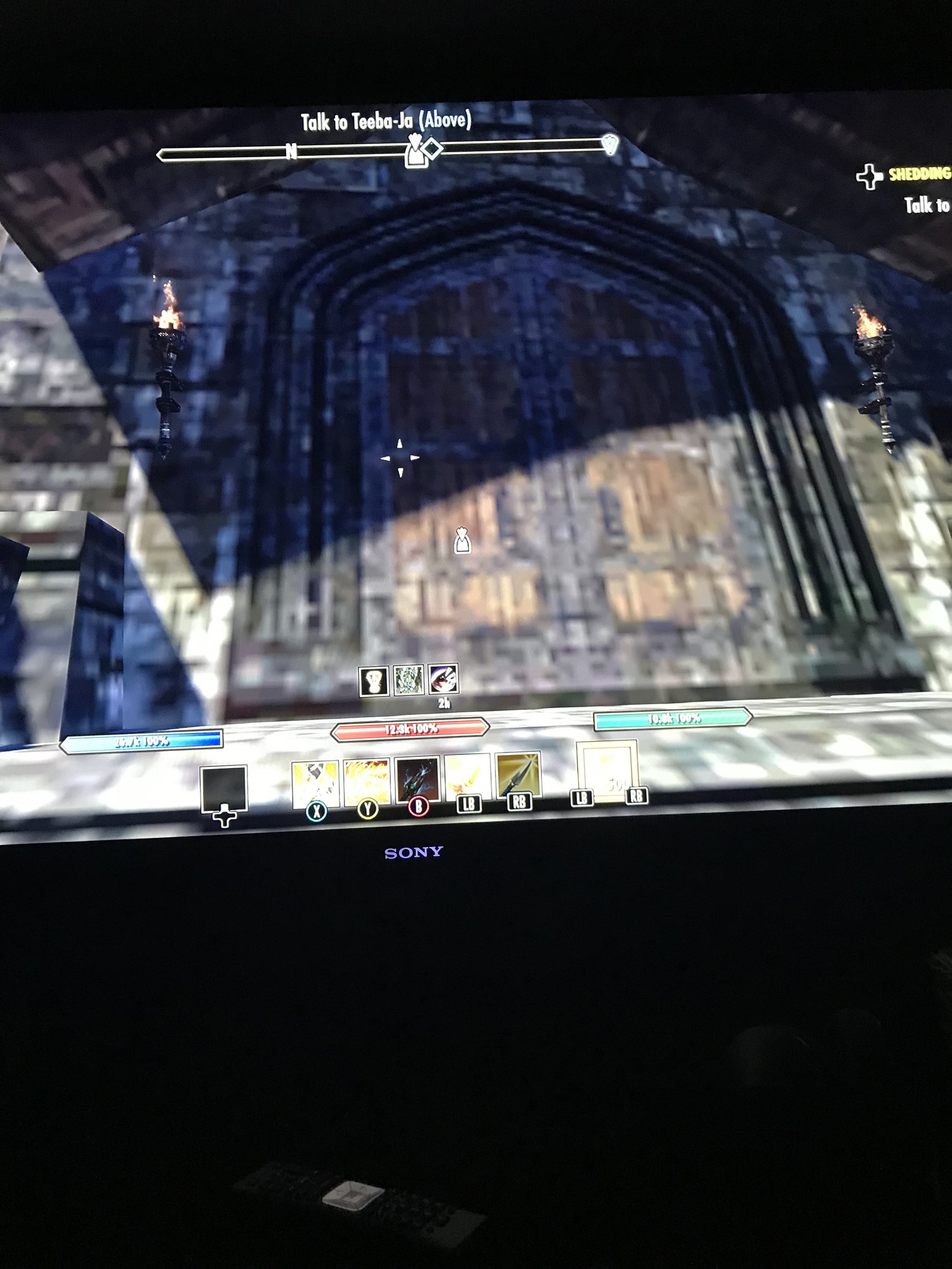 (xbox)Texture bugs in cities and falling through ground on horse — Elder Scrolls Online