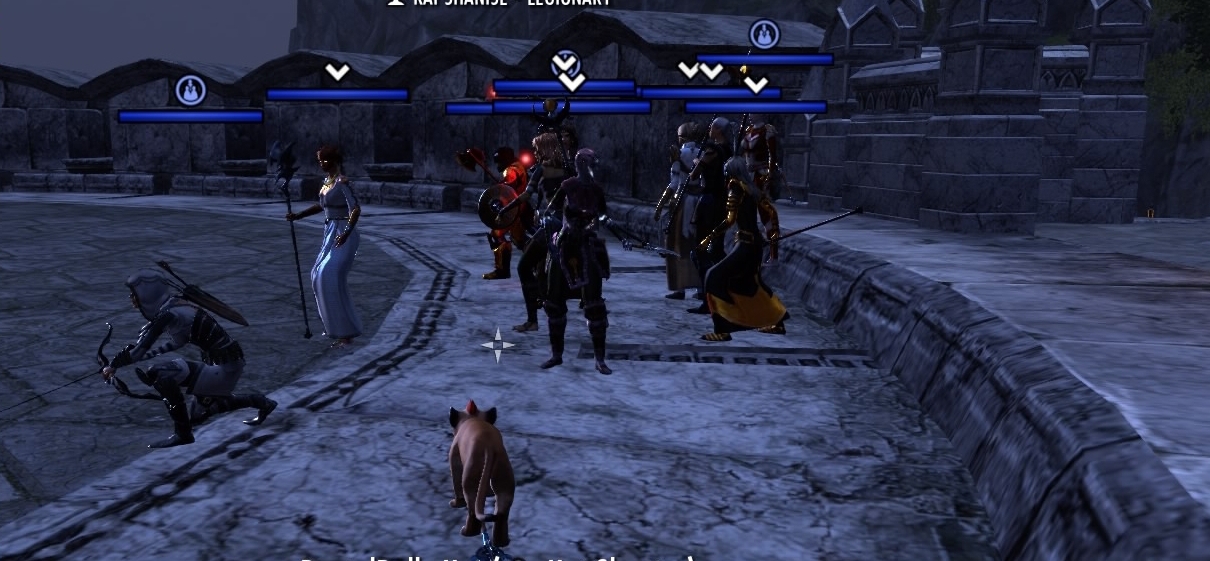 Turning into tge Raz cat during battle — Elder Scrolls Online