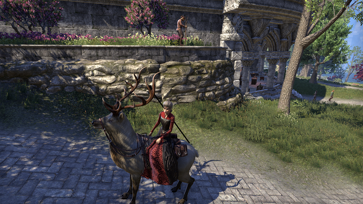 Good looking bug — Elder Scrolls Online