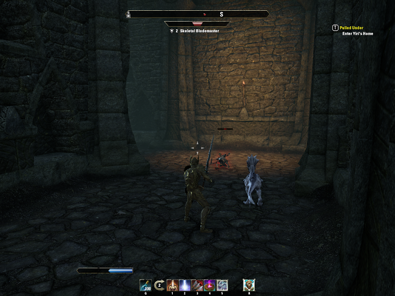 Clanfear pet bugging out ! — Elder Scrolls Online