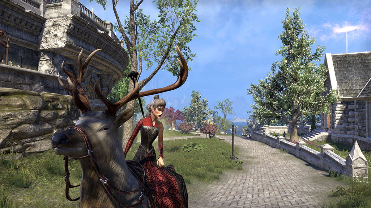 Good looking bug — Elder Scrolls Online