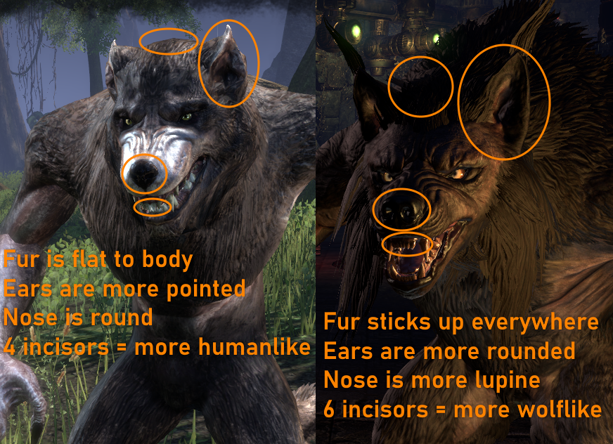 Suggestion for werewolves — Elder Scrolls Online