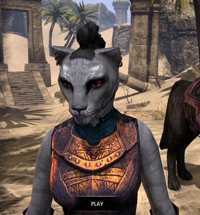 Player Character Graphic Bug — Elder Scrolls Online