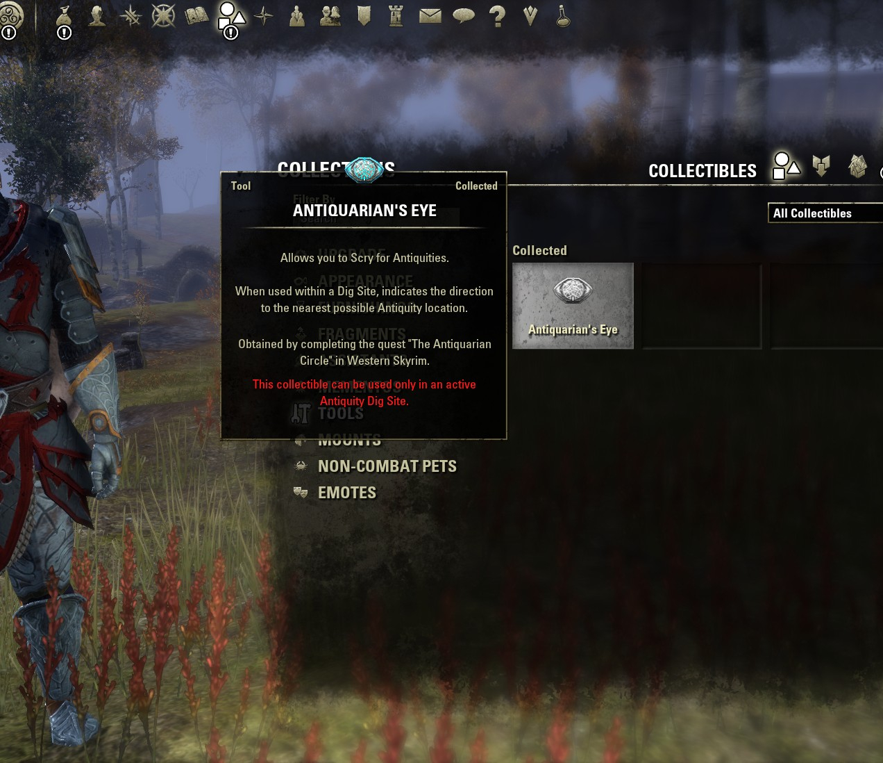 Antiquarian eye in instances — Elder Scrolls Online