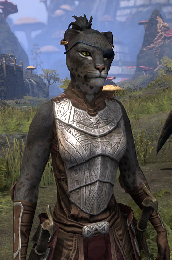 Help me decide which character to start leveling with. — Elder Scrolls Online