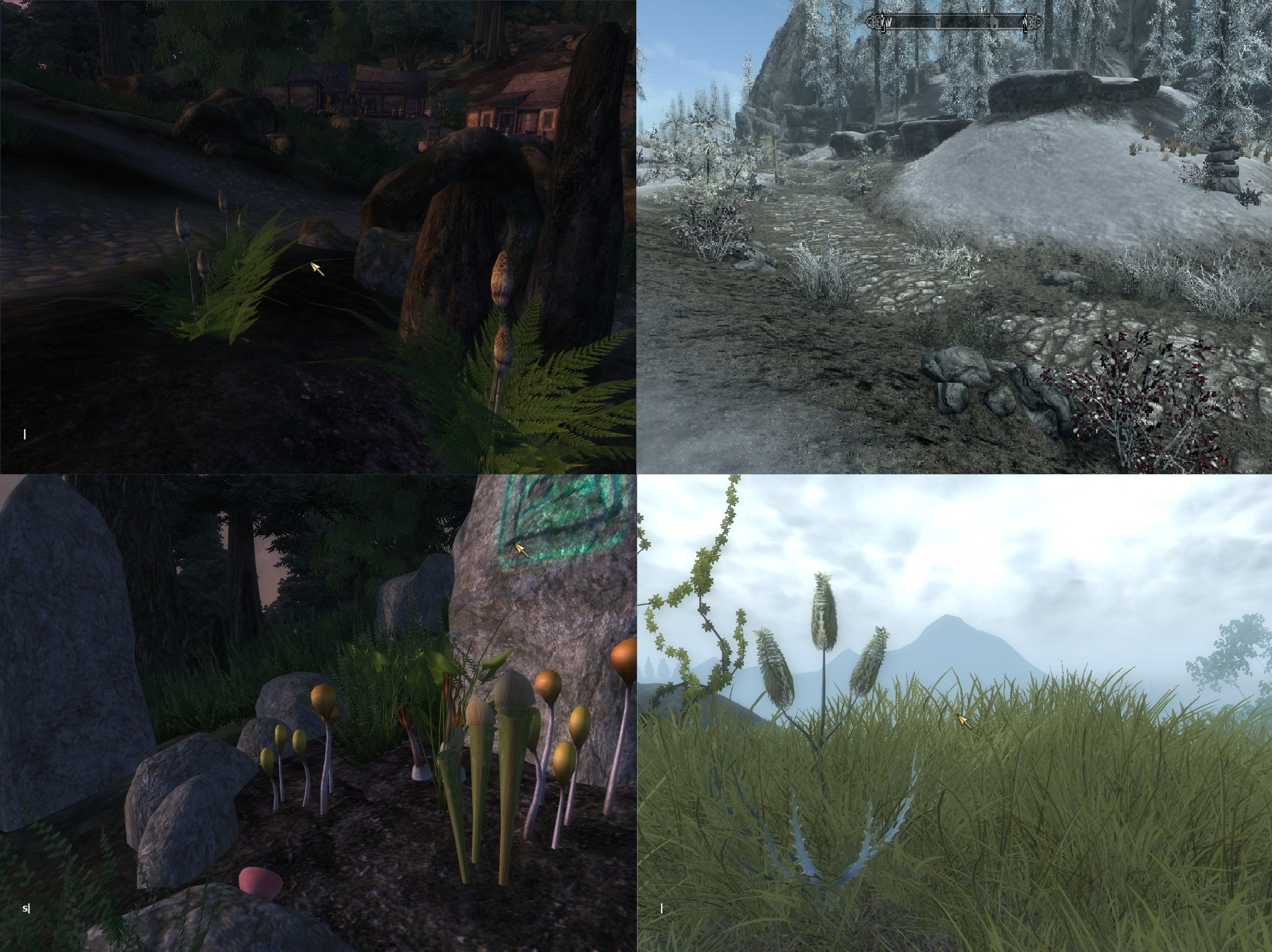 Botany of Familiar Lands — Elder Scrolls Online