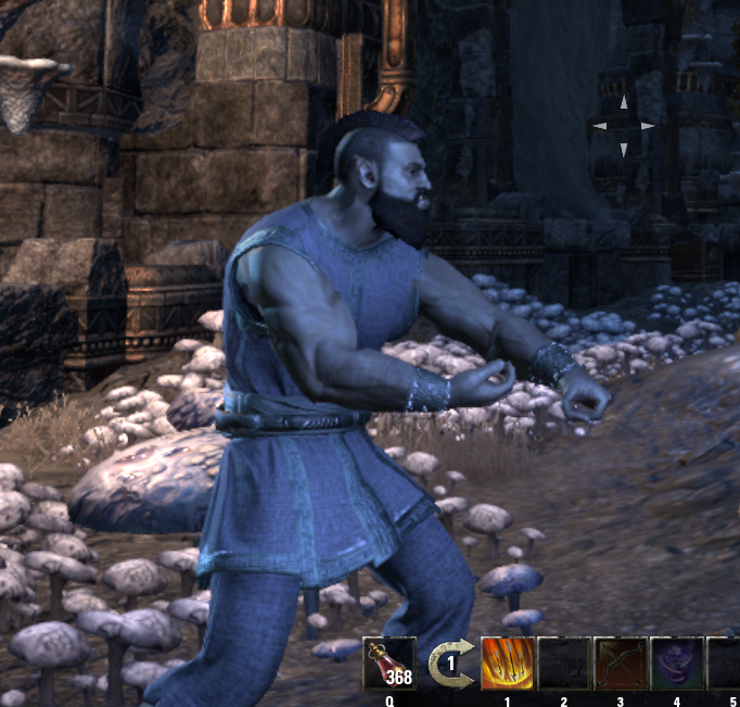 BUG REPORT: Bow is not visible — Elder Scrolls Online