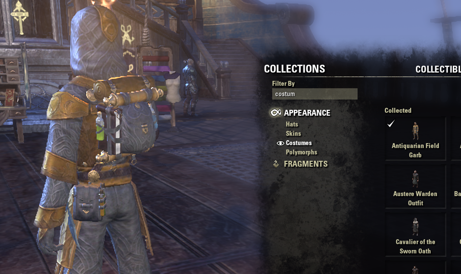 Where do all the items go? — Elder Scrolls Online