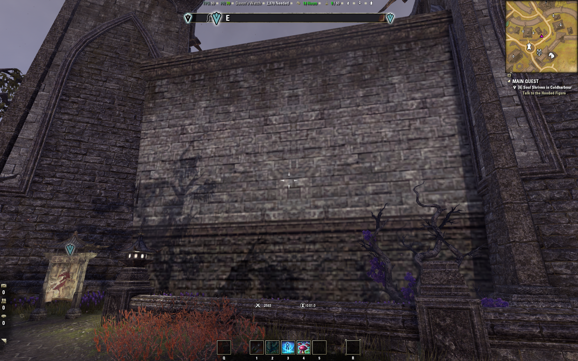 Davon's watch city wall texture error — Elder Scrolls Online