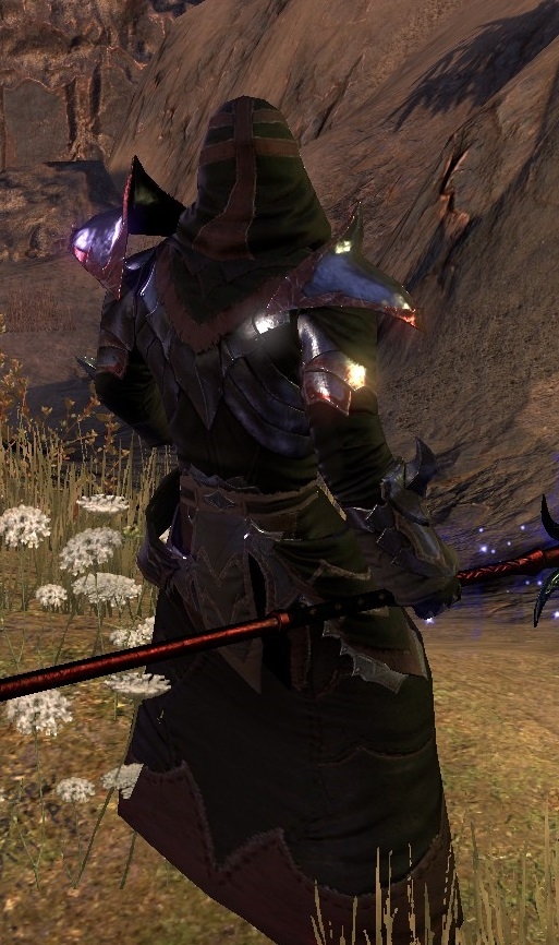 Possible Xivkyn augur shoulder Glitch — Elder Scrolls Online