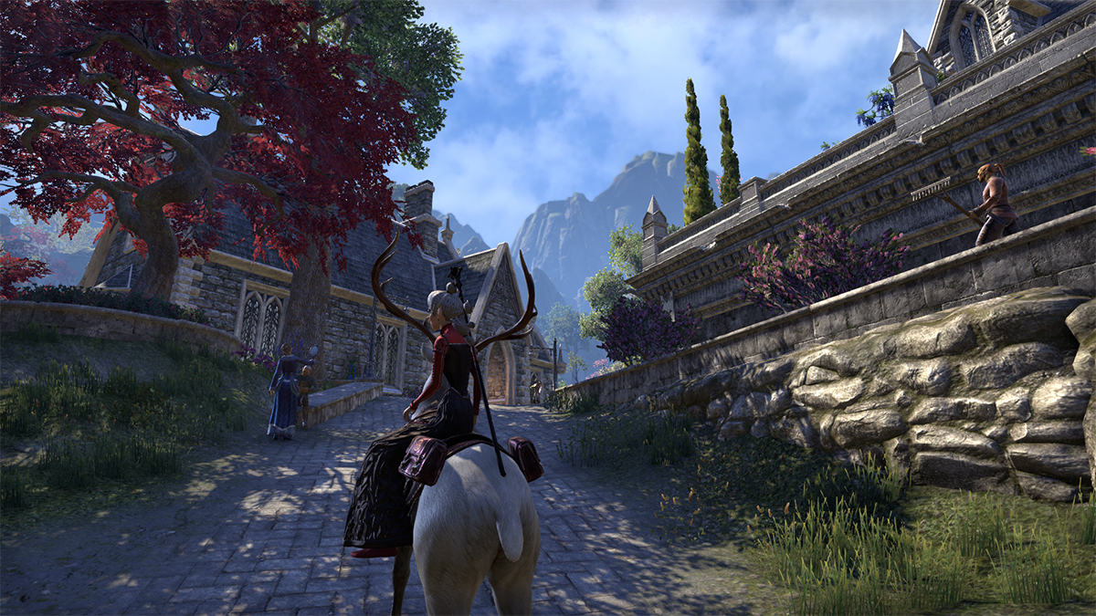 Good looking bug — Elder Scrolls Online
