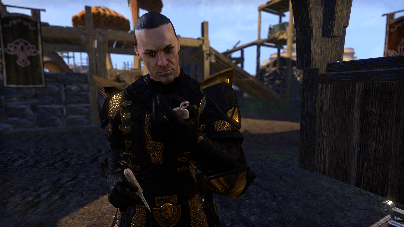 *BUG* - Yokudan Medium Helmet - Character Face — Elder Scrolls Online