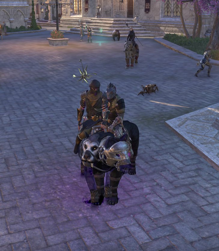 About Companions distance — Elder Scrolls Online