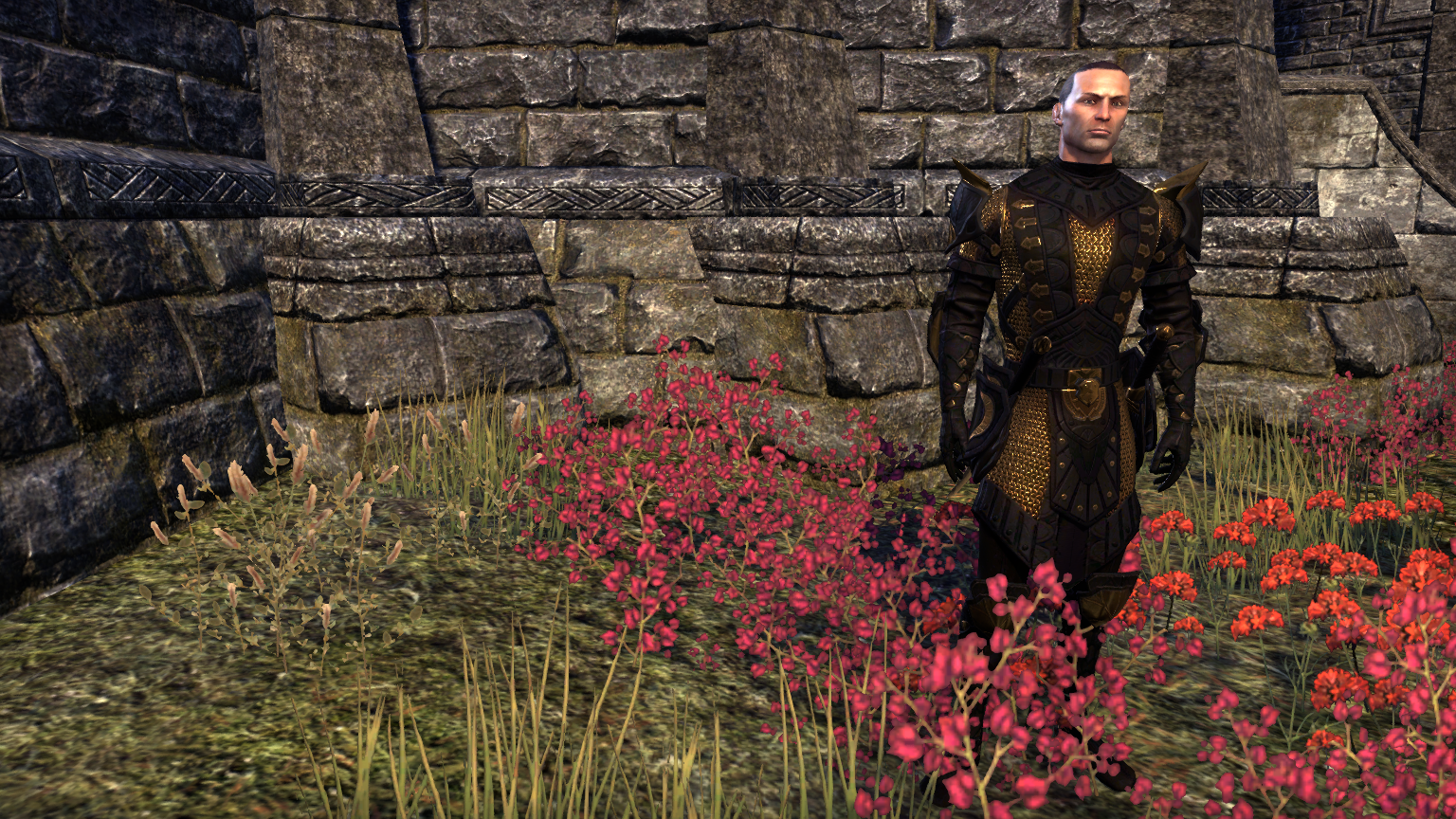 *BUG* - Yokudan Medium Helmet - Character Face — Elder Scrolls Online