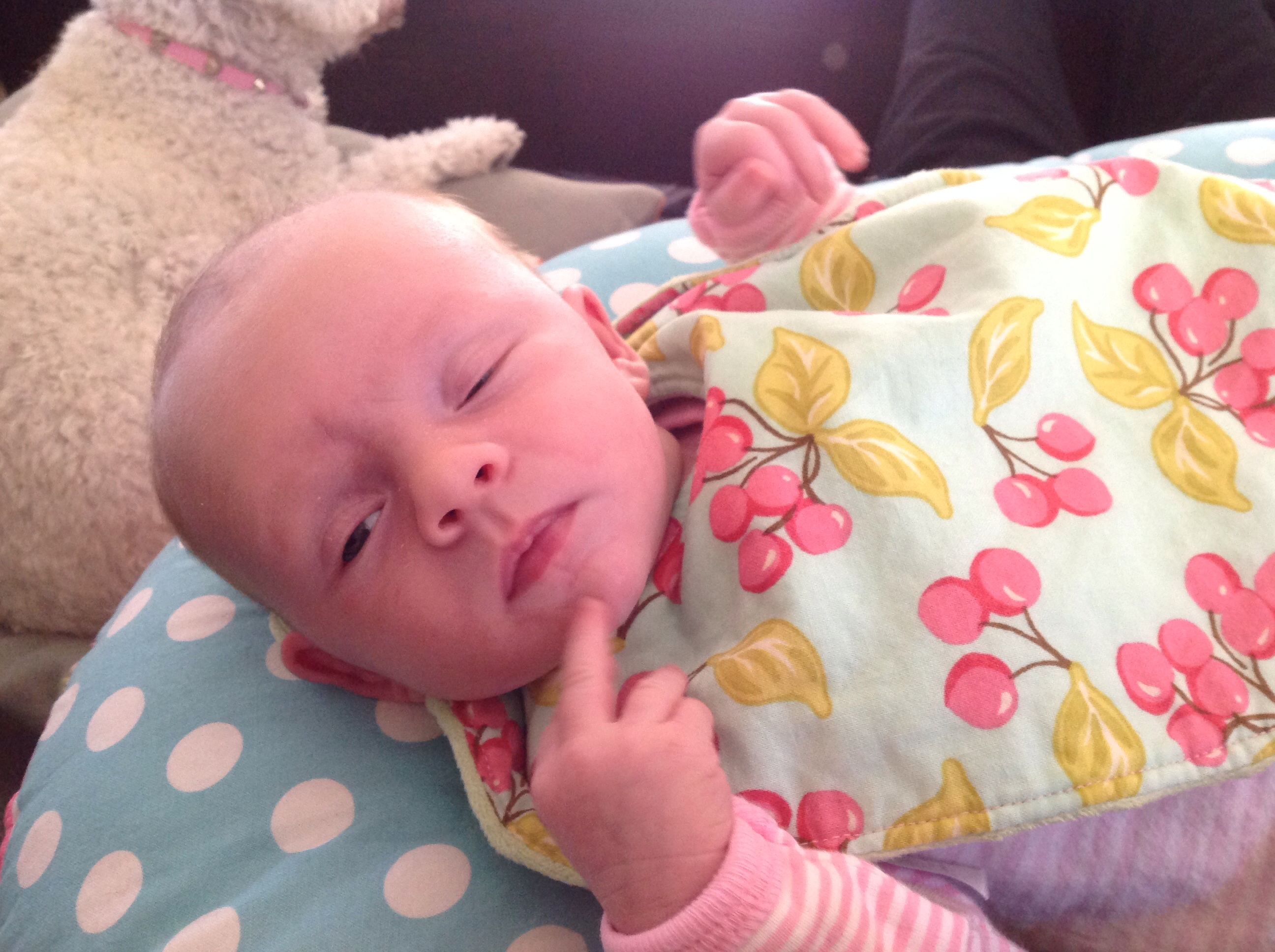 Serious babies... — The Bump