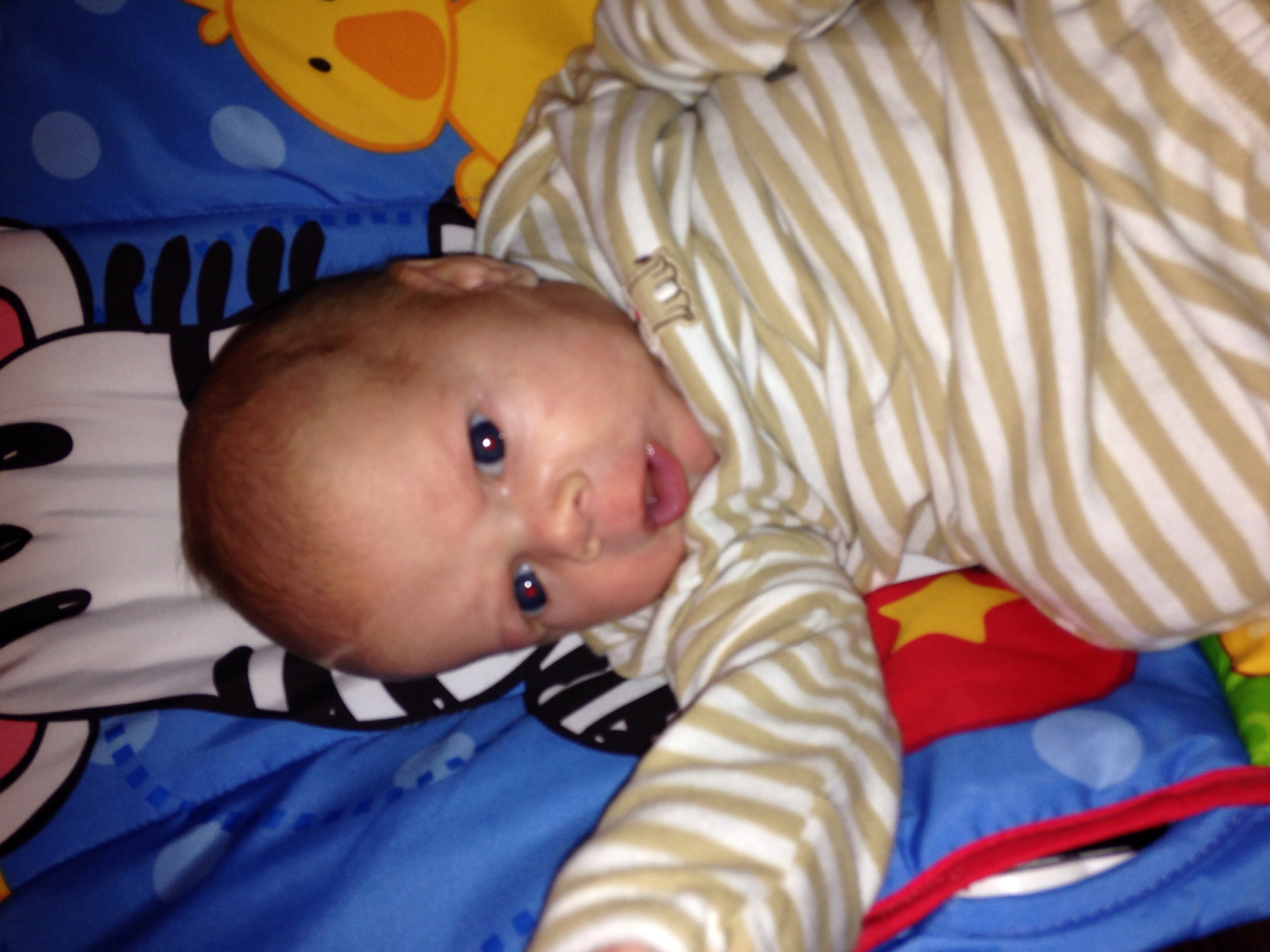 Serious babies... — The Bump