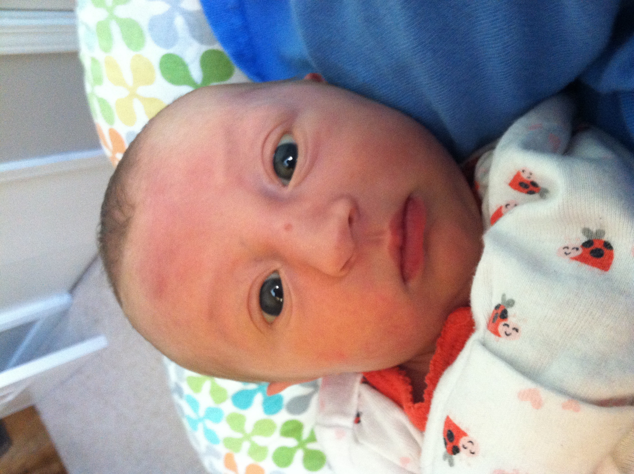 Luca's traumatic birth PIP (very long) — The Bump