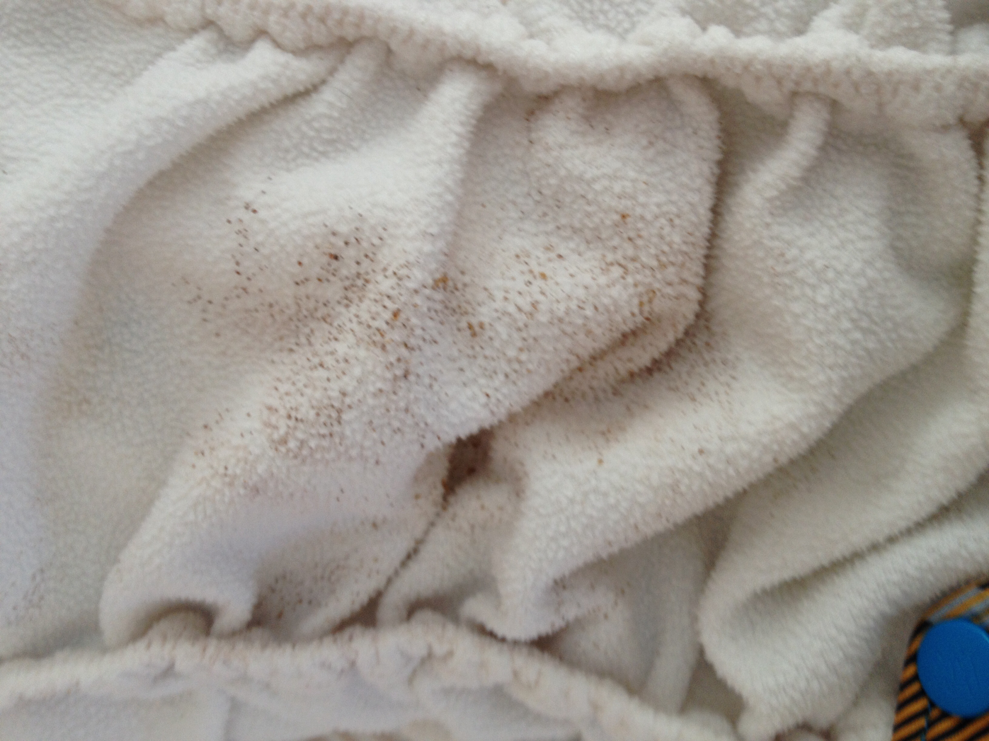 Poop problems — The Bump