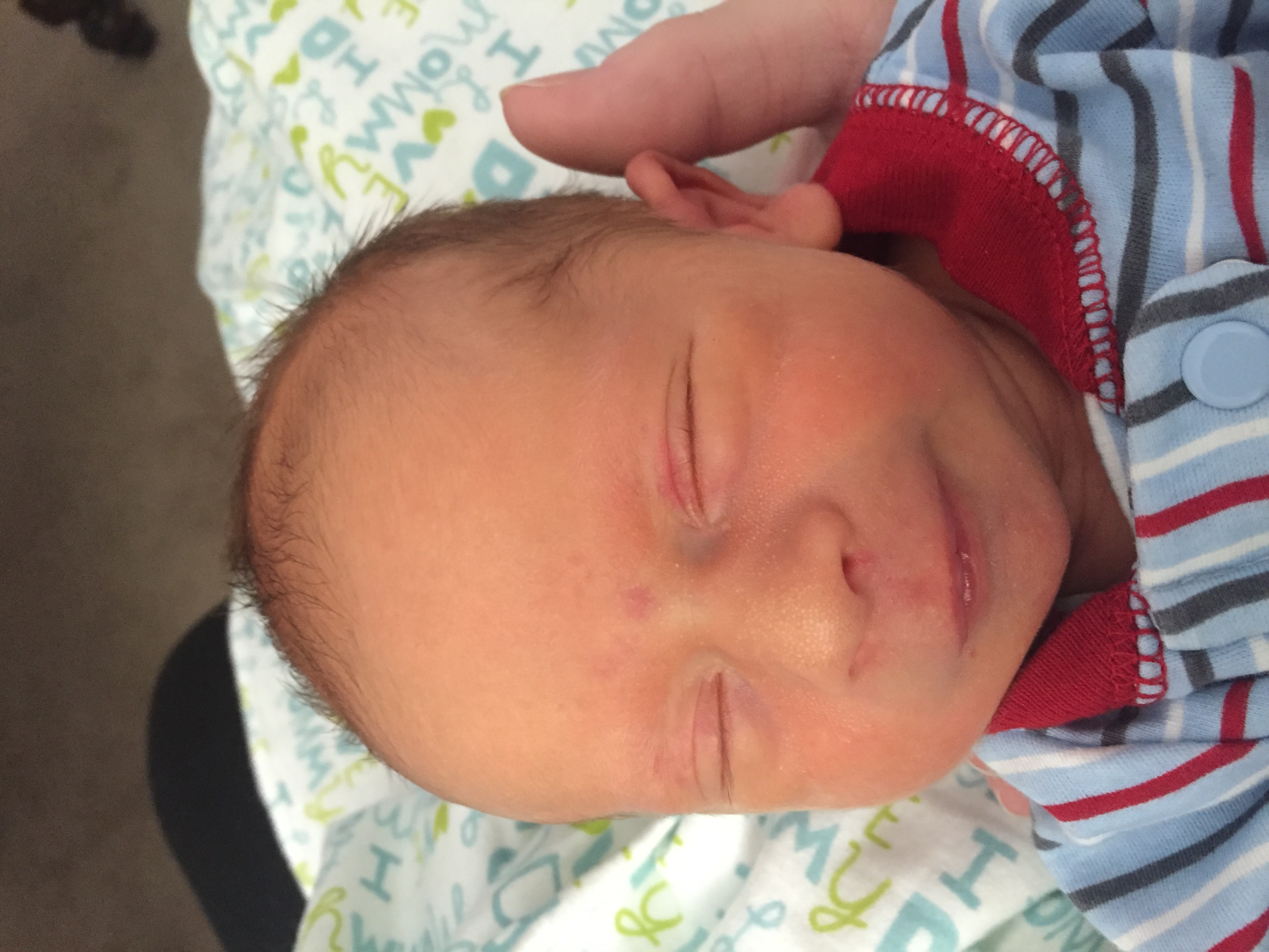 HDBD 12/2 — The Bump