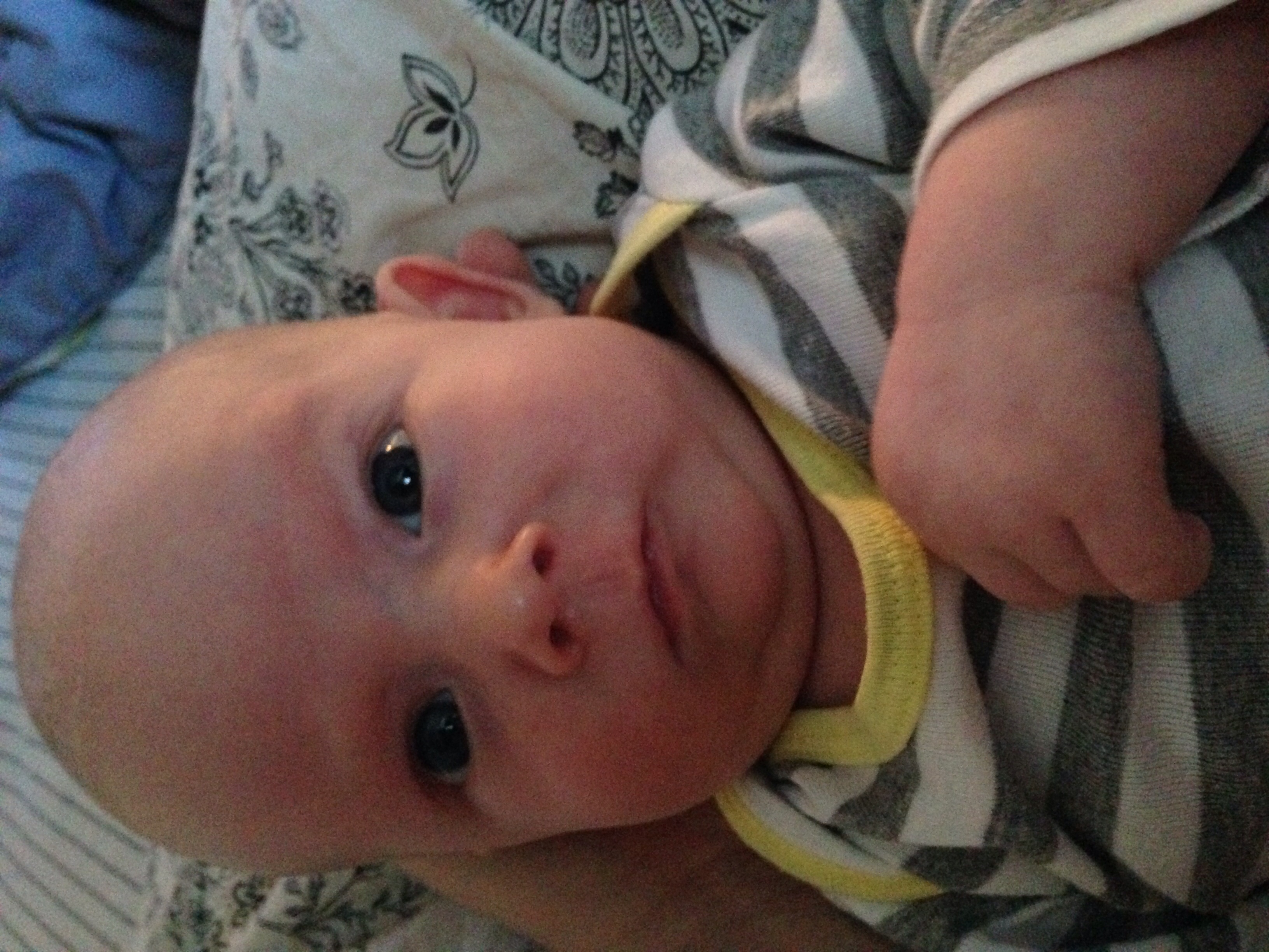 Serious babies... — The Bump