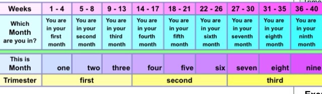 Week To Month Conversion Chart The Bump