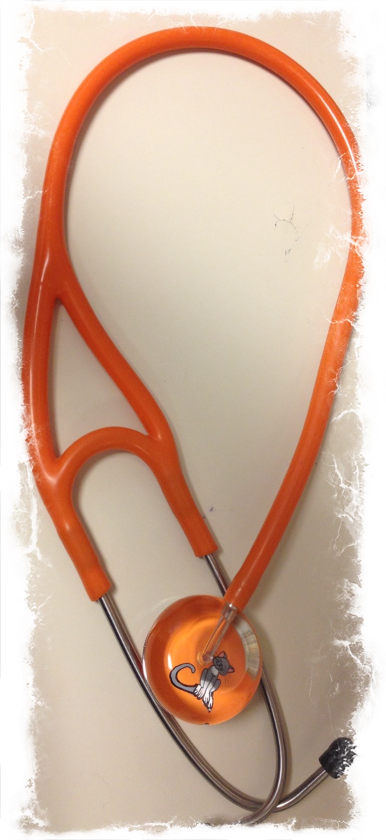 GTKY: Back to work edition — The Bump