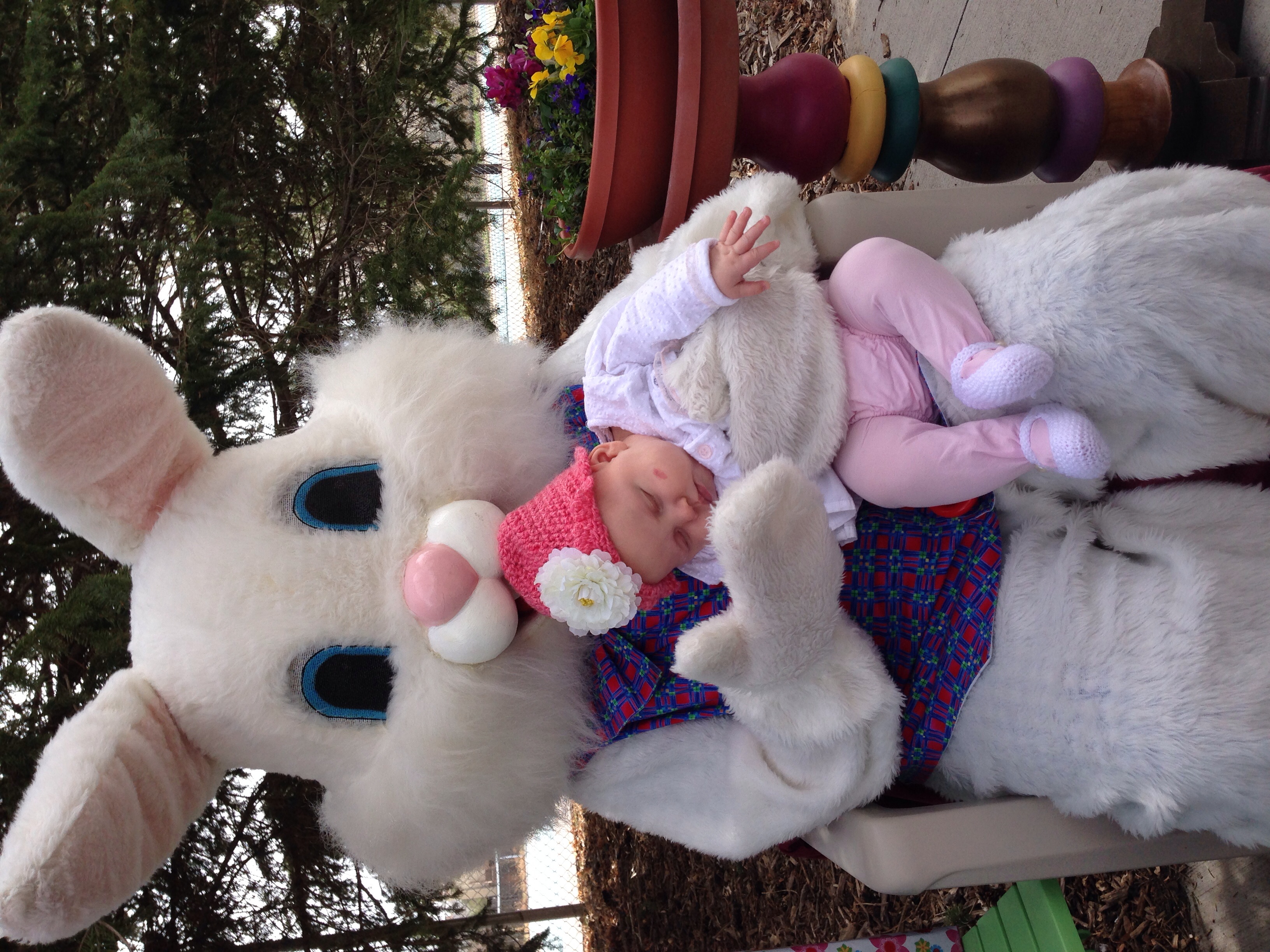 Just for fun Easter bunny pics — The Bump