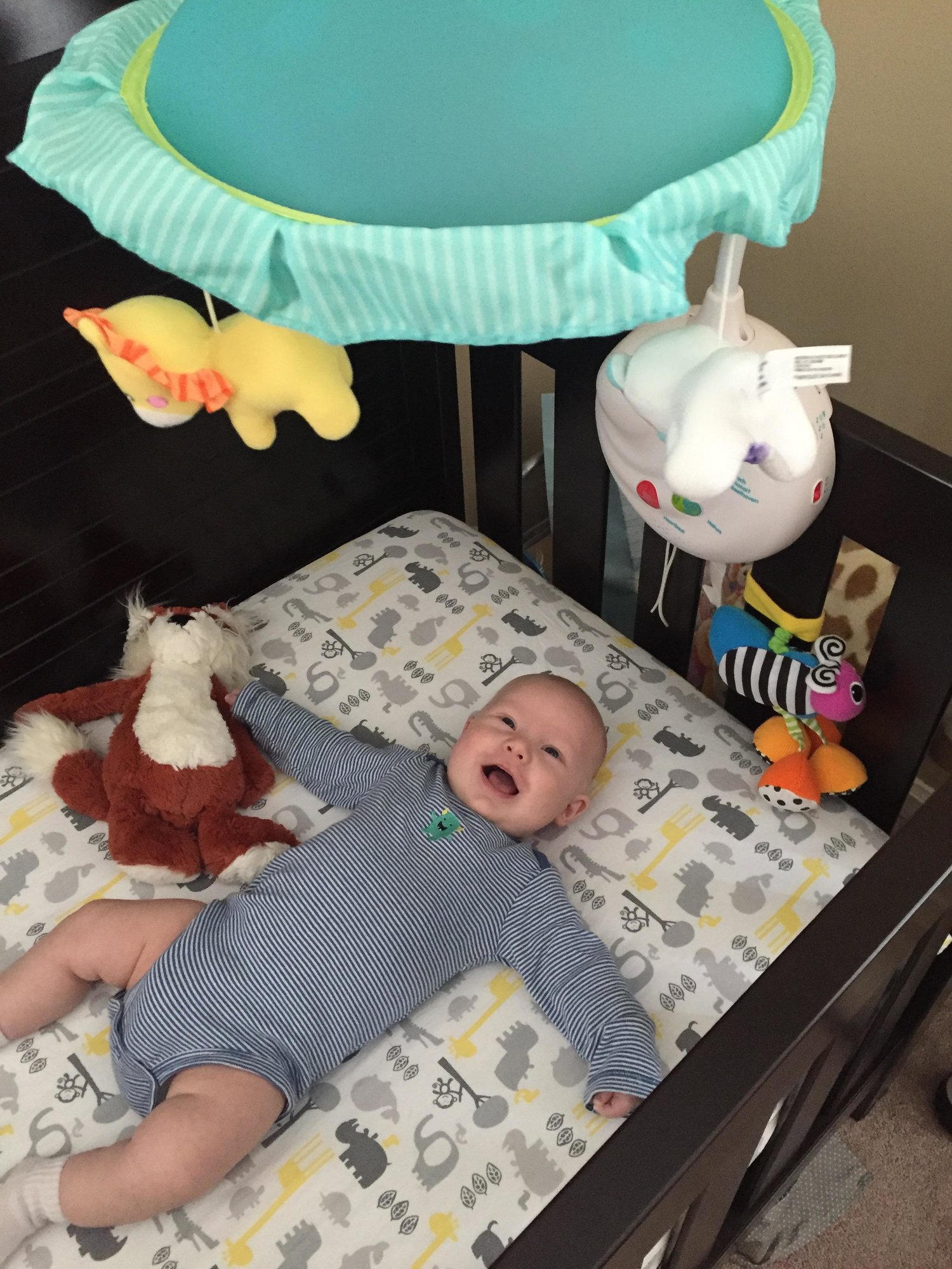 let's talk about pooping — The Bump