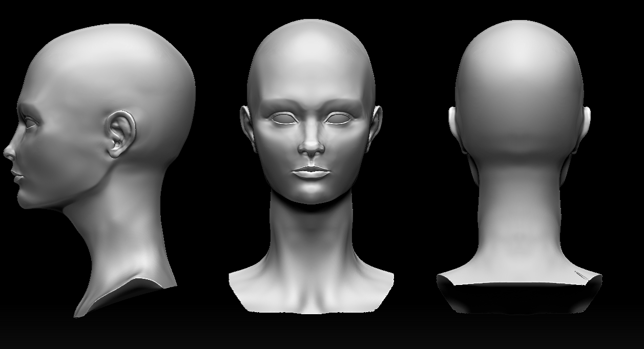 Anatomy of female head — polycount