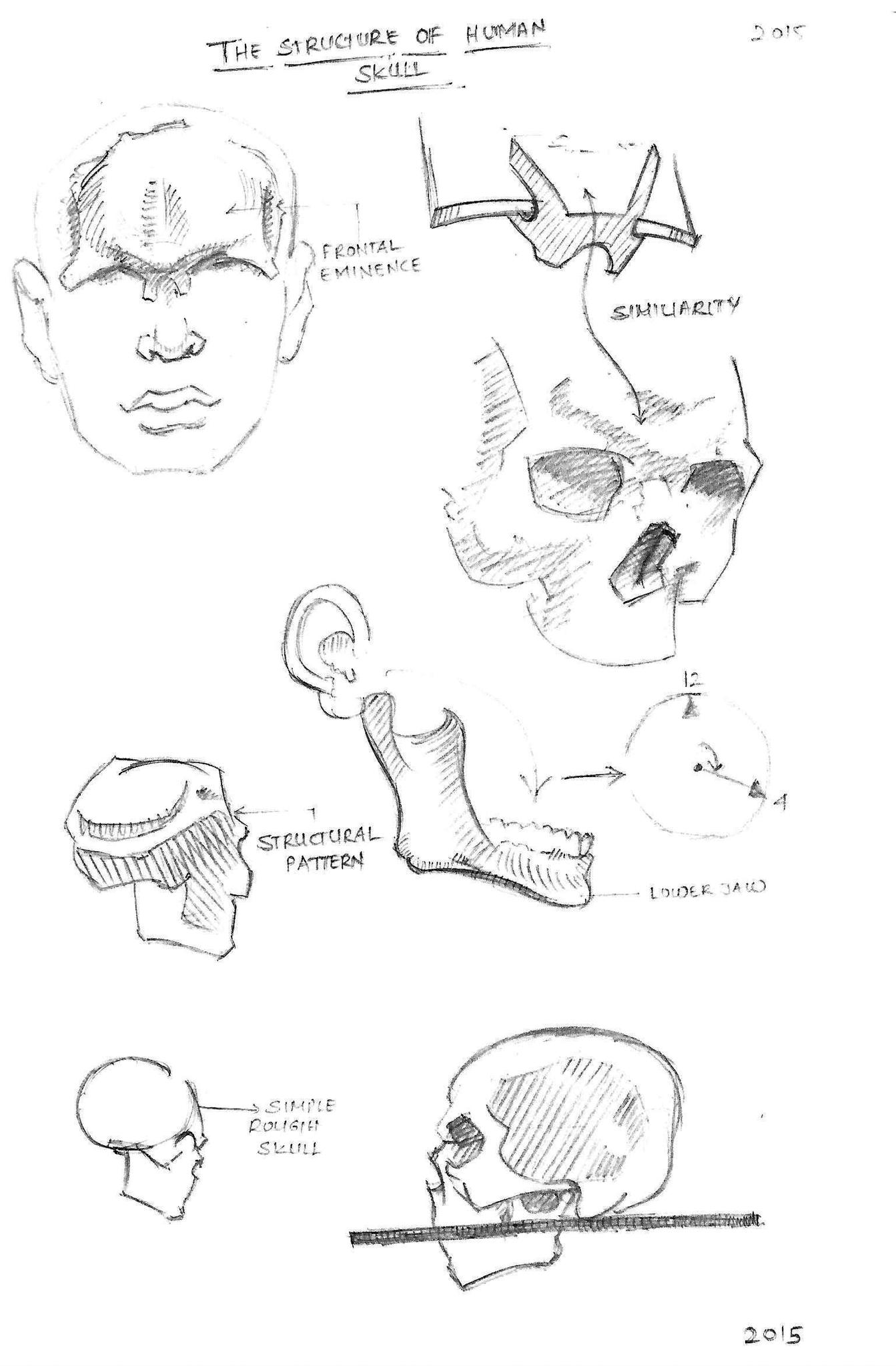 Some traditional Anatomy practice — polycount