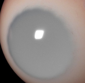 3ds max smoothing texture problem — polycount