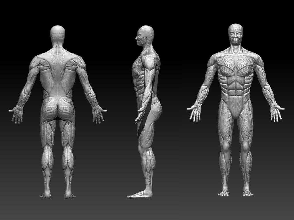 Refinement and Critique — polycount