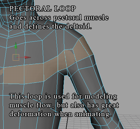 Help with Character modeling — polycount