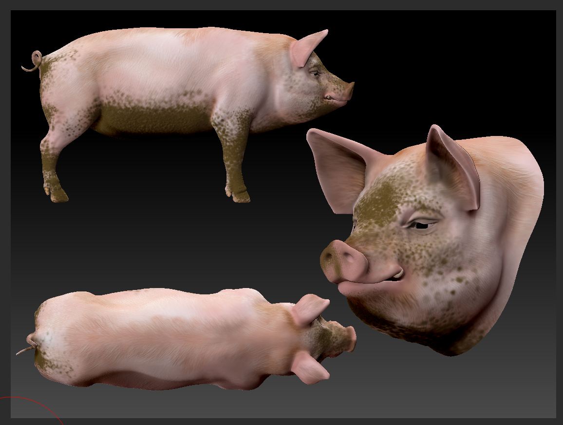 Medieval Farm Pig WIP — polycount