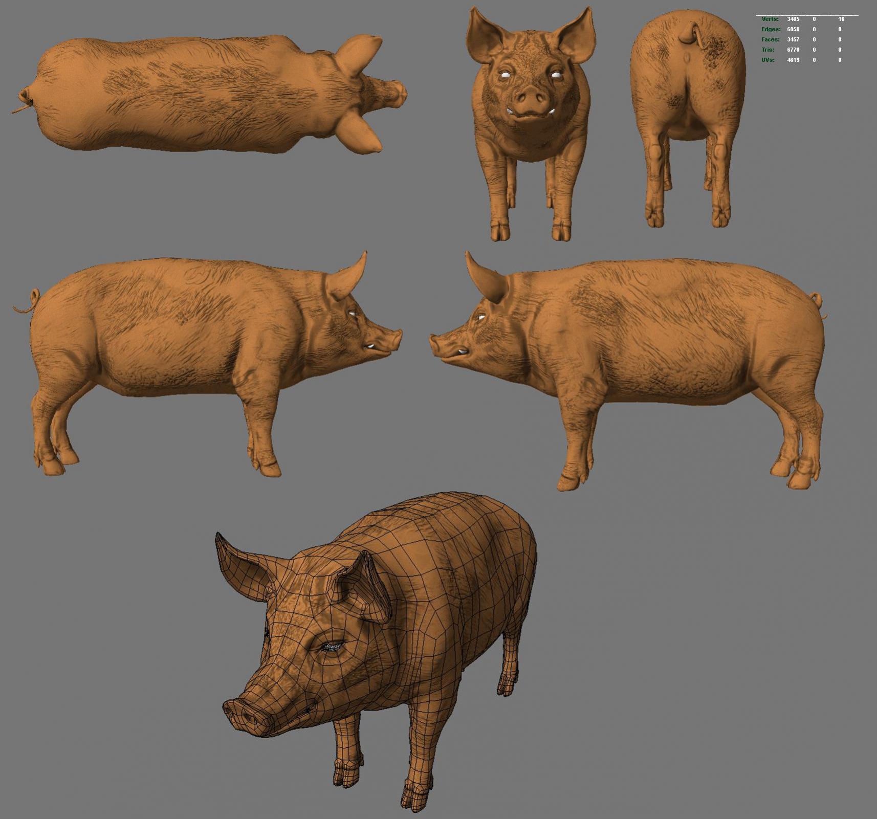 Medieval Farm Pig WIP — polycount