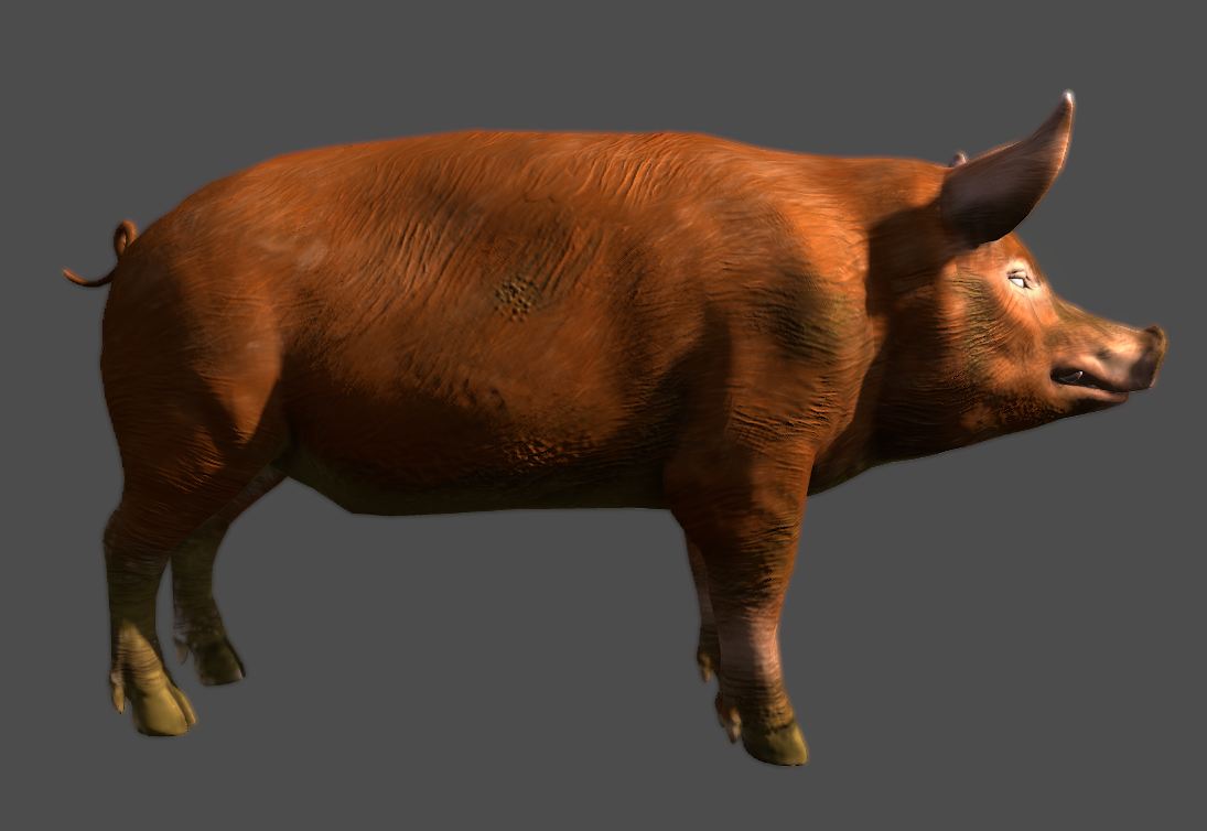 Medieval Farm Pig WIP — polycount